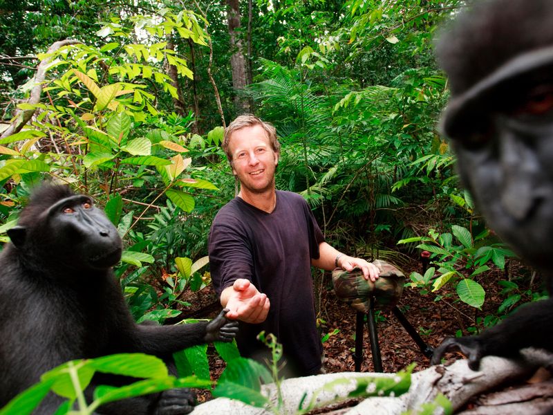 Smiling Monkey Selfie