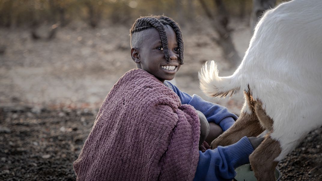 The boy milking the sheep milk | Smithsonian Photo Contest ...