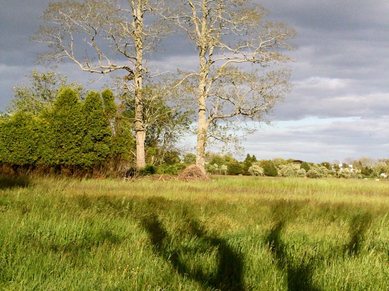 A sense of foreboding in a place not known for it - the monied villages ...