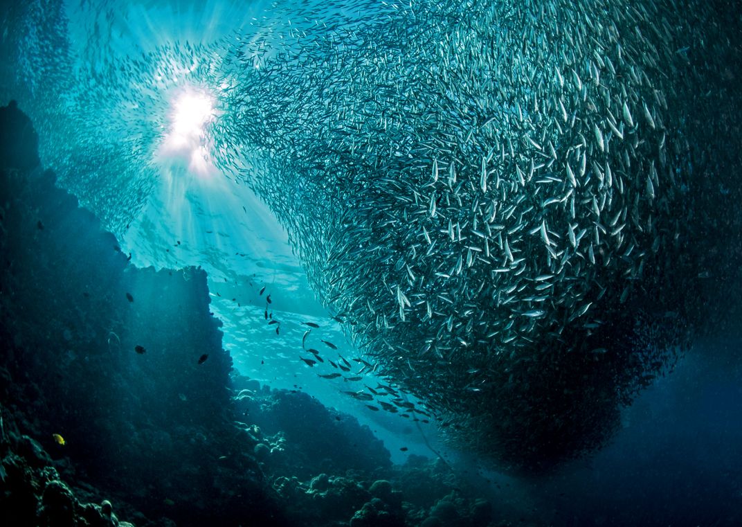 Vortex | Smithsonian Photo Contest | Smithsonian Magazine