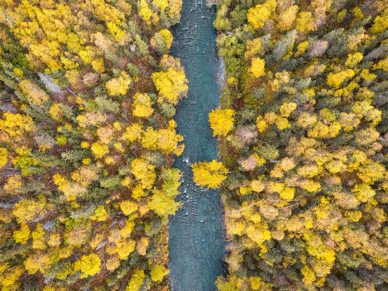 Fall From Above | Smithsonian Photo Contest | Smithsonian Magazine