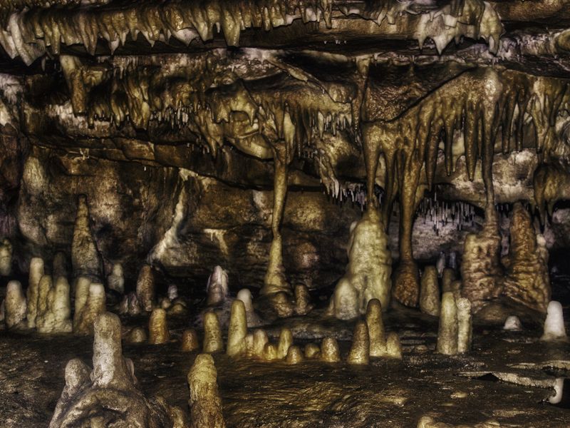 A Cave Shelf | Smithsonian Photo Contest | Smithsonian Magazine