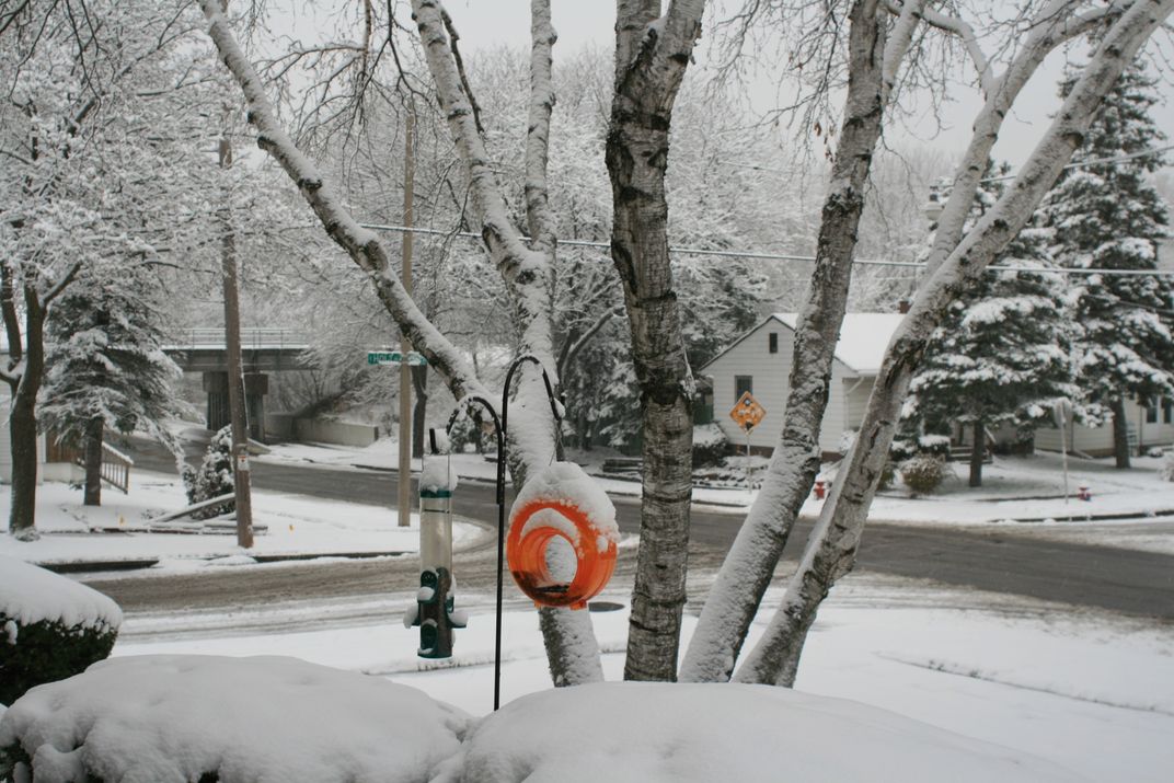 Snowy Intersection | Smithsonian Photo Contest | Smithsonian Magazine