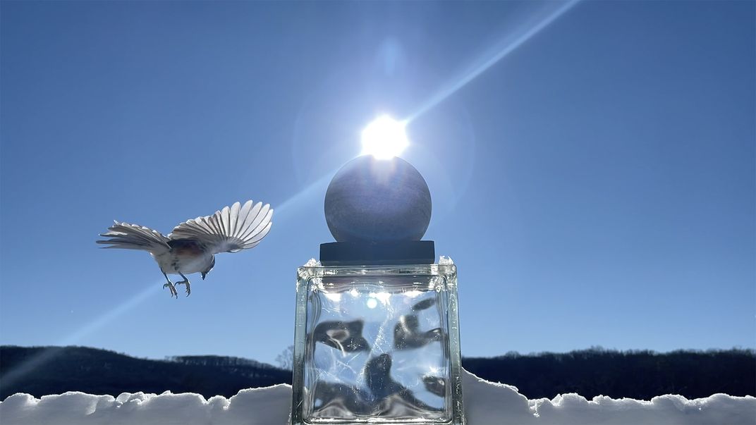 Avian Altar | Smithsonian Photo Contest | Smithsonian Magazine