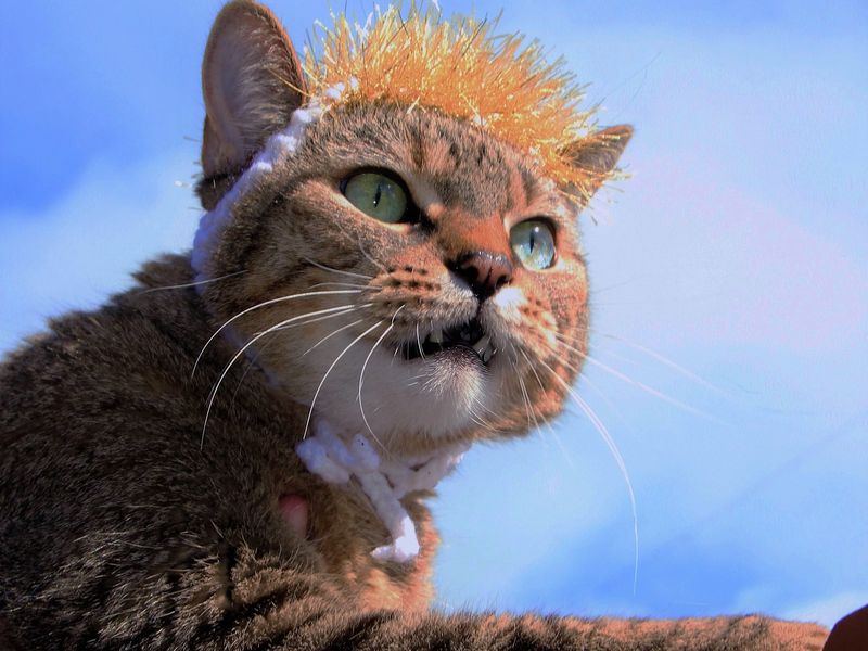 Dora the Explorer | Smithsonian Photo Contest | Smithsonian Magazine