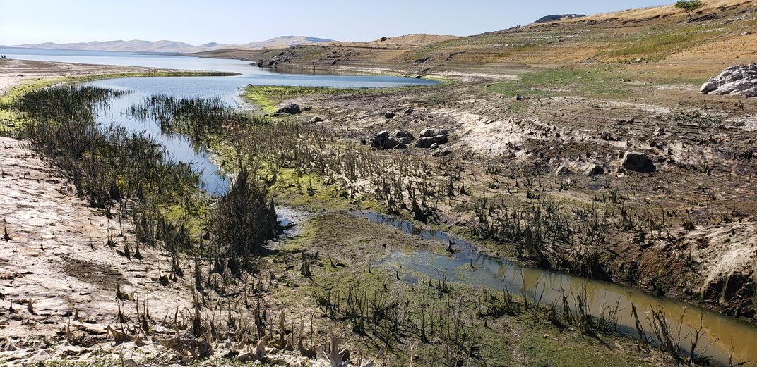Effects of California Drought | Smithsonian Photo Contest | Smithsonian ...