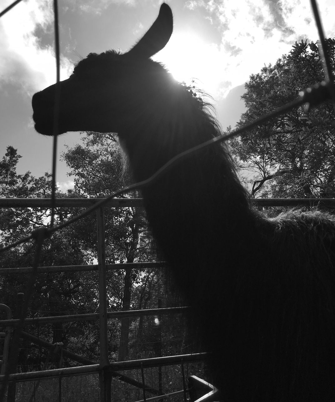 Moonbeam in a sunbeam | Smithsonian Photo Contest | Smithsonian Magazine