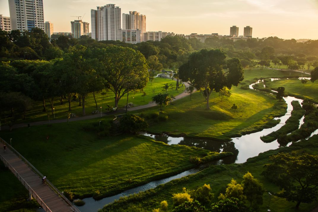 Revitalised natural ecosystem in the Singapore urban jungle ...
