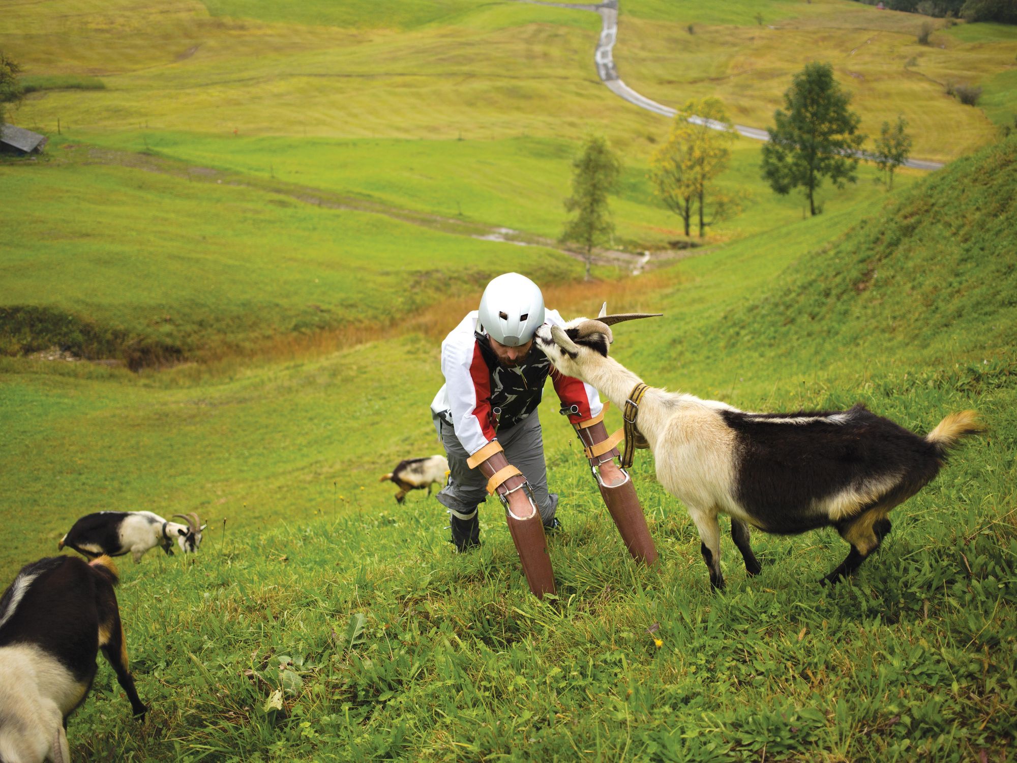 What Living Like Goats and Badgers Can Teach Us About Ourselves