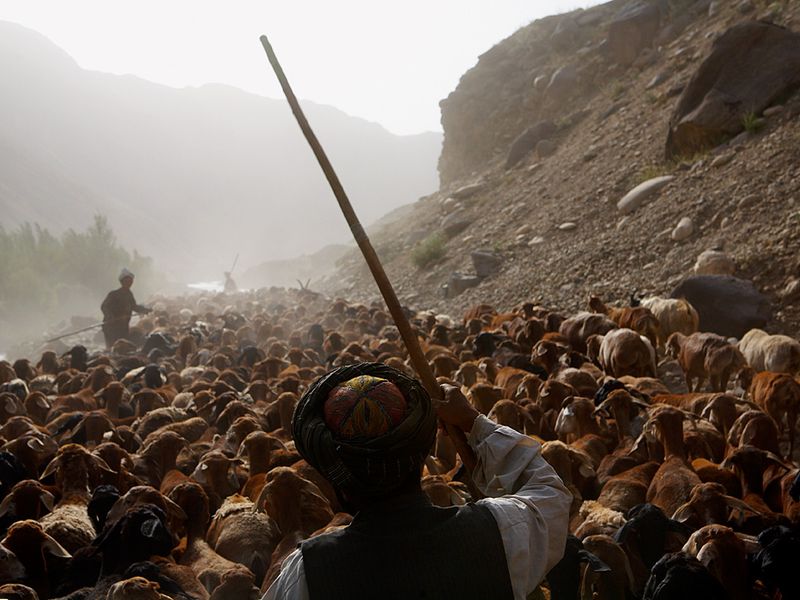 Goat herders on the road to Faizabad. Afghanistan. | Smithsonian Photo ...