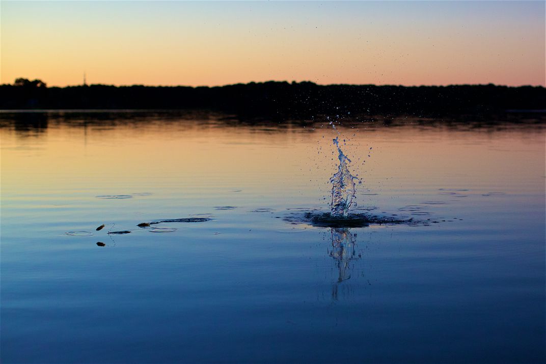 Surprised Fish | Smithsonian Photo Contest | Smithsonian Magazine
