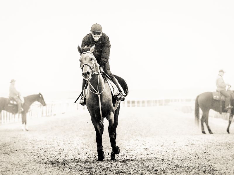 Bahrain Horse Club | Smithsonian Photo Contest | Smithsonian Magazine