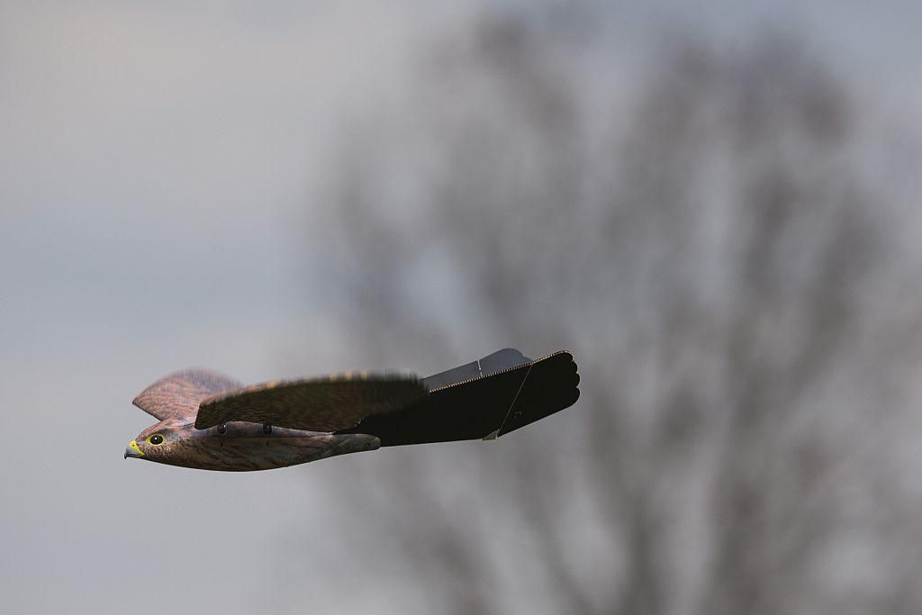 These High-Tech Scarecrows Will Keep Pesky Creatures Away