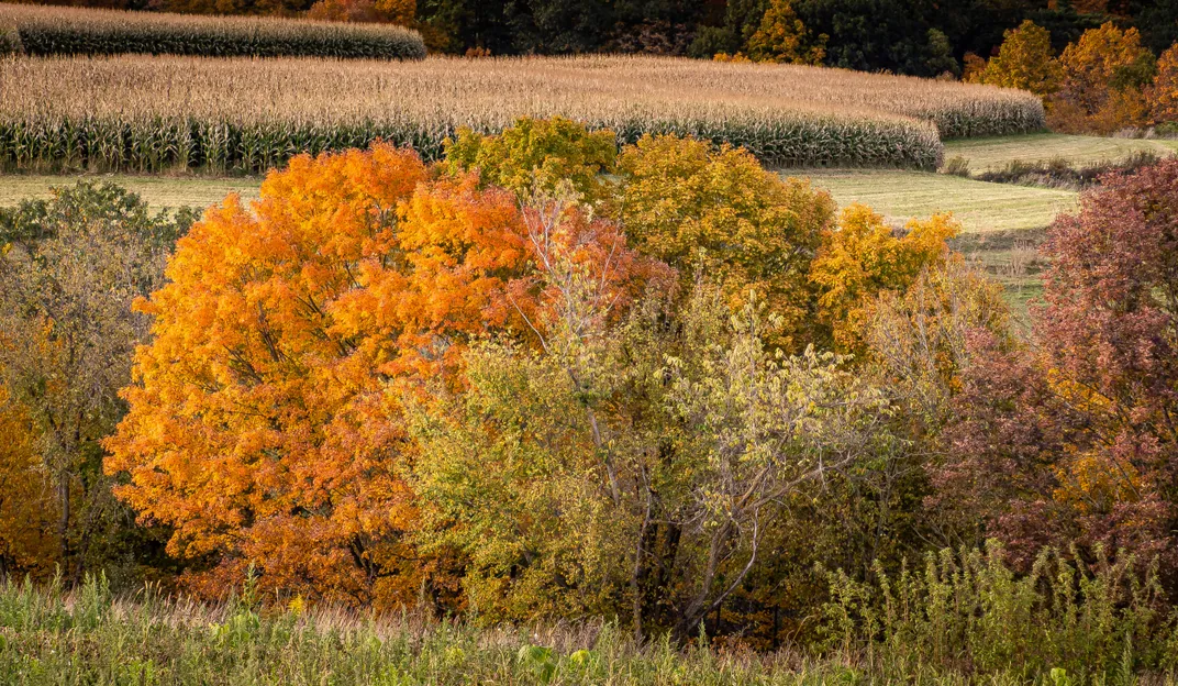 Fall in the Valley | Smithsonian Photo Contest | Smithsonian Magazine
