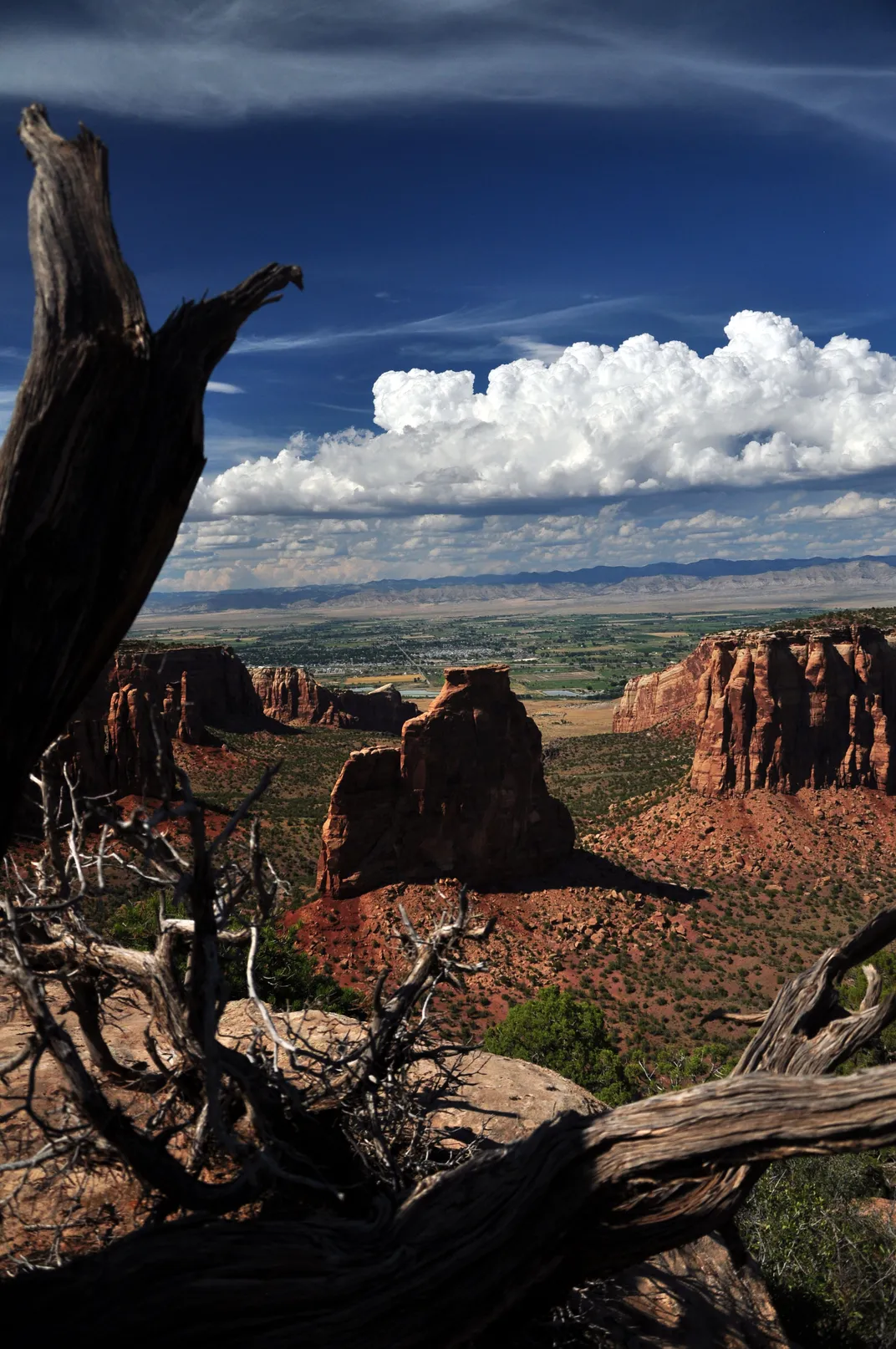 Hiking the Monument i was stricken by it's beauty and determined to ...