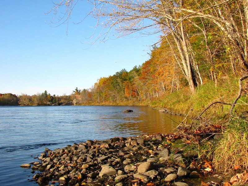 Cold River in Maine | Smithsonian Photo Contest | Smithsonian Magazine