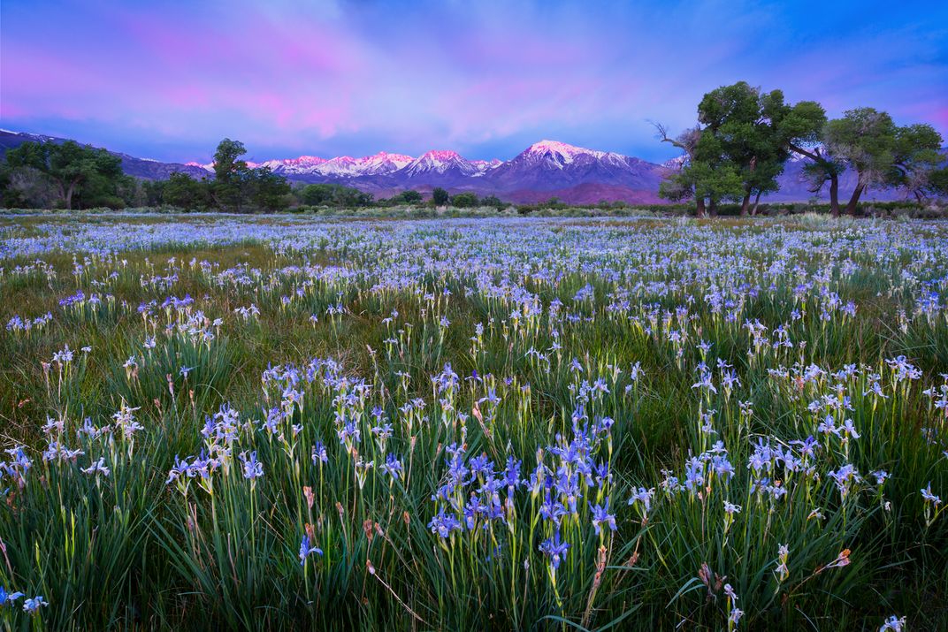 Inspiration | Smithsonian Photo Contest | Smithsonian Magazine