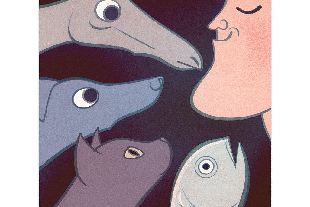 Why Do Humans Have Chins?