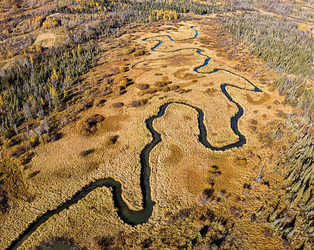 Mississippi River Curves | Smithsonian Photo Contest | Smithsonian Magazine