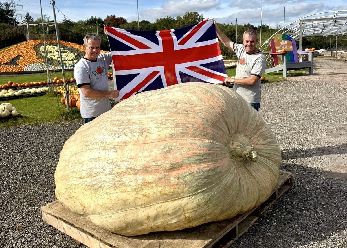 largest pumpkin pie weight