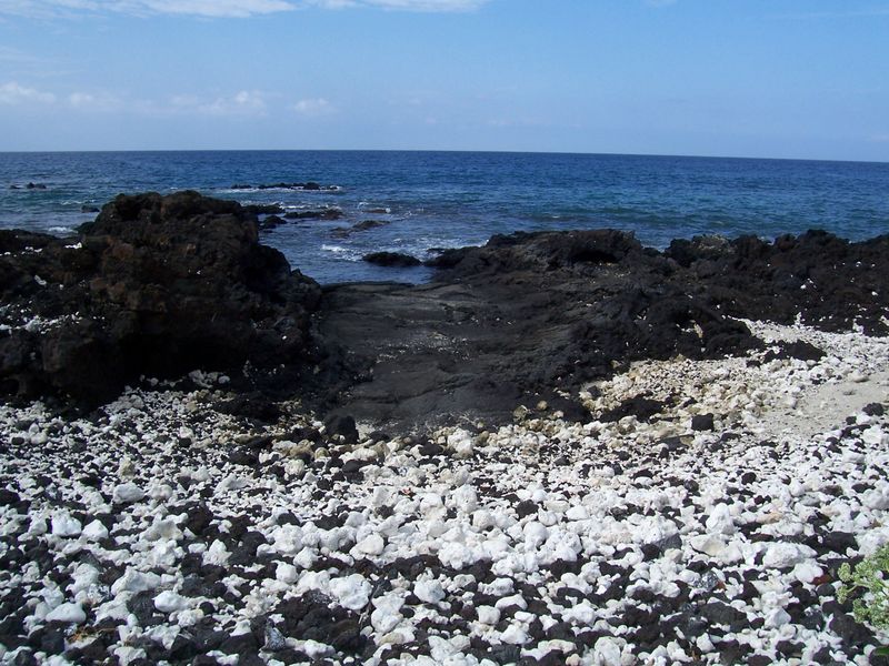 Coral Beach | Smithsonian Photo Contest | Smithsonian Magazine