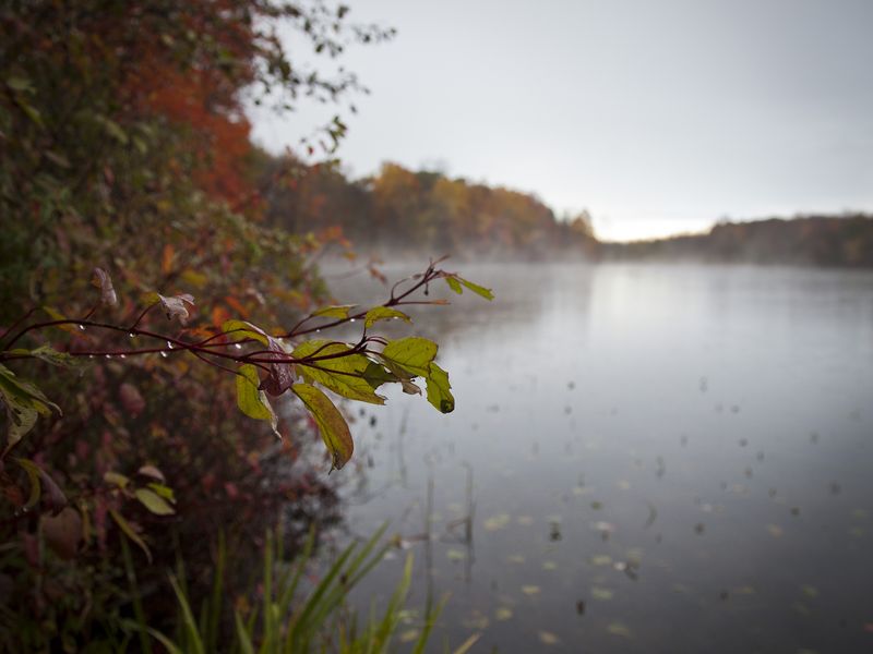 Rainy fall day in Michigan | Smithsonian Photo Contest | Smithsonian ...