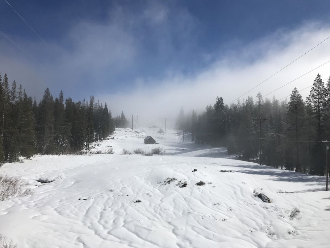 Misty Snow Scene | Smithsonian Photo Contest | Smithsonian Magazine
