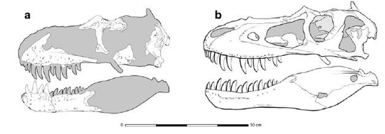 Teratophoneus: Utah's Monstrous, Murderous New Tyrannosaur