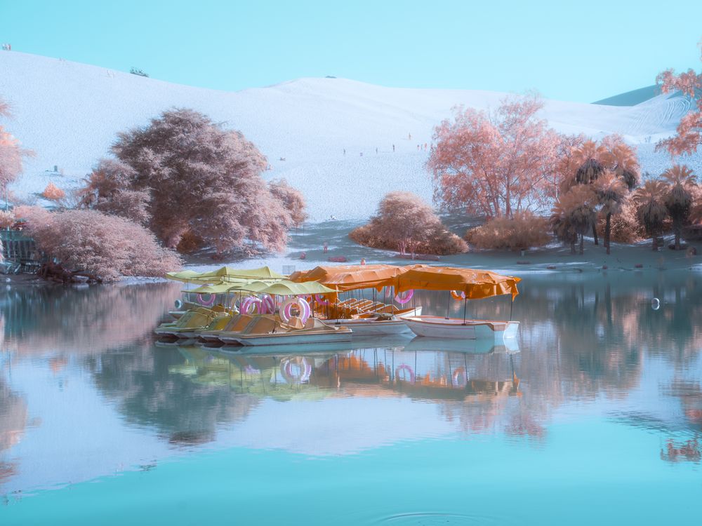 Oasis Mirage | Smithsonian Photo Contest | Smithsonian Magazine