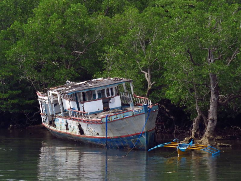 Decaying boat | Smithsonian Photo Contest | Smithsonian Magazine