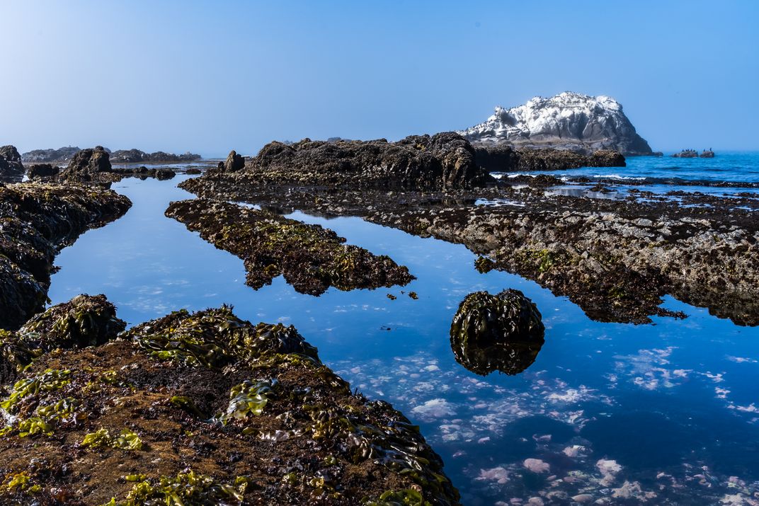Yaquina Head Lighthouse Beach | Smithsonian Photo Contest | Smithsonian ...
