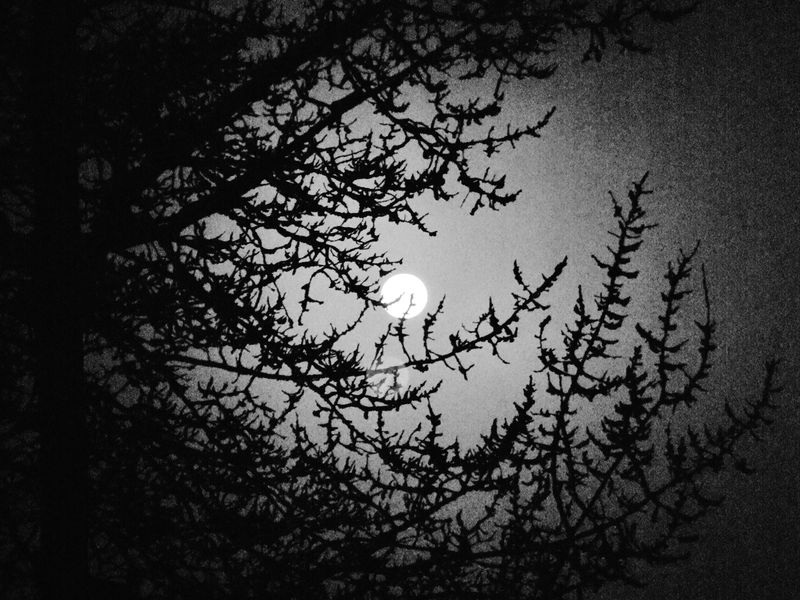 A full moon on a cold night in BC | Smithsonian Photo Contest ...