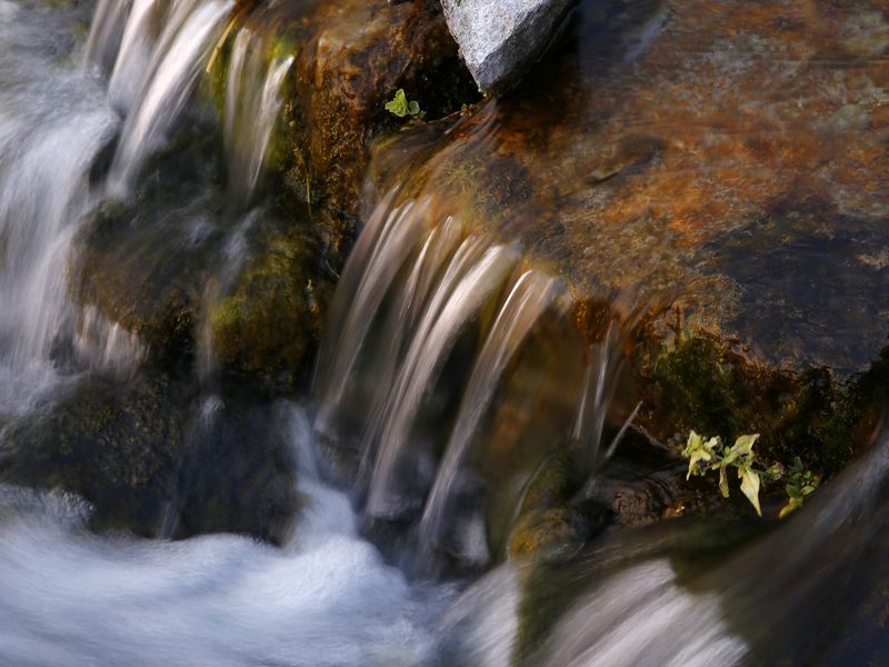 Giant Springs State Park Montana | Smithsonian Photo Contest ...