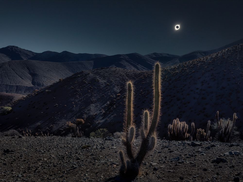 Eclipse | Smithsonian Photo Contest | Smithsonian Magazine