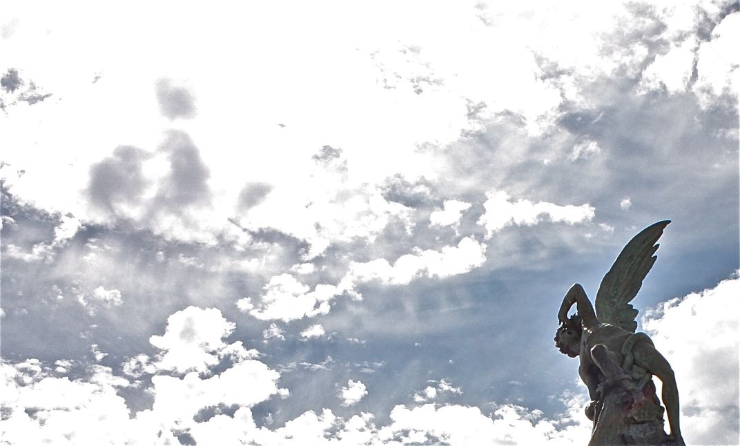 Fallen Angel | Smithsonian Photo Contest | Smithsonian Magazine