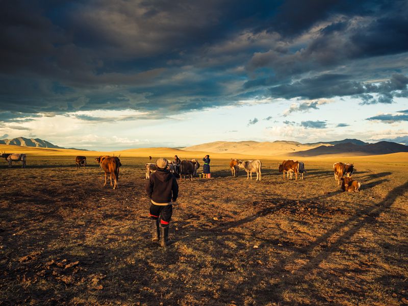 Mongolian nomads | Smithsonian Photo Contest | Smithsonian Magazine