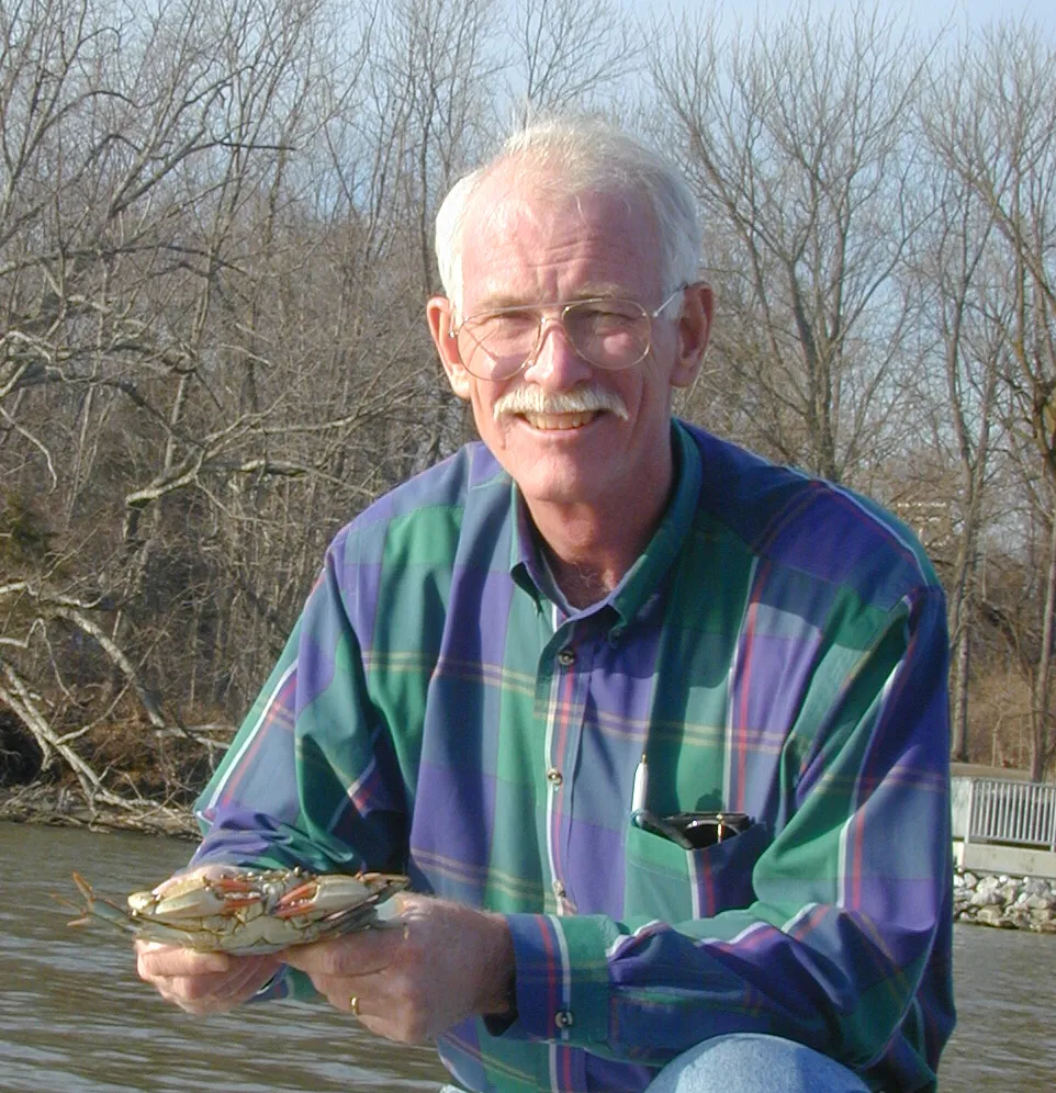 Cannibalism Takes Major Bite Out of Young Blue Crabs, but the Shallows ...