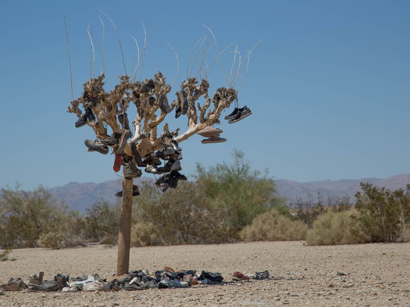 Shoe Tree | Smithsonian Photo Contest | Smithsonian Magazine