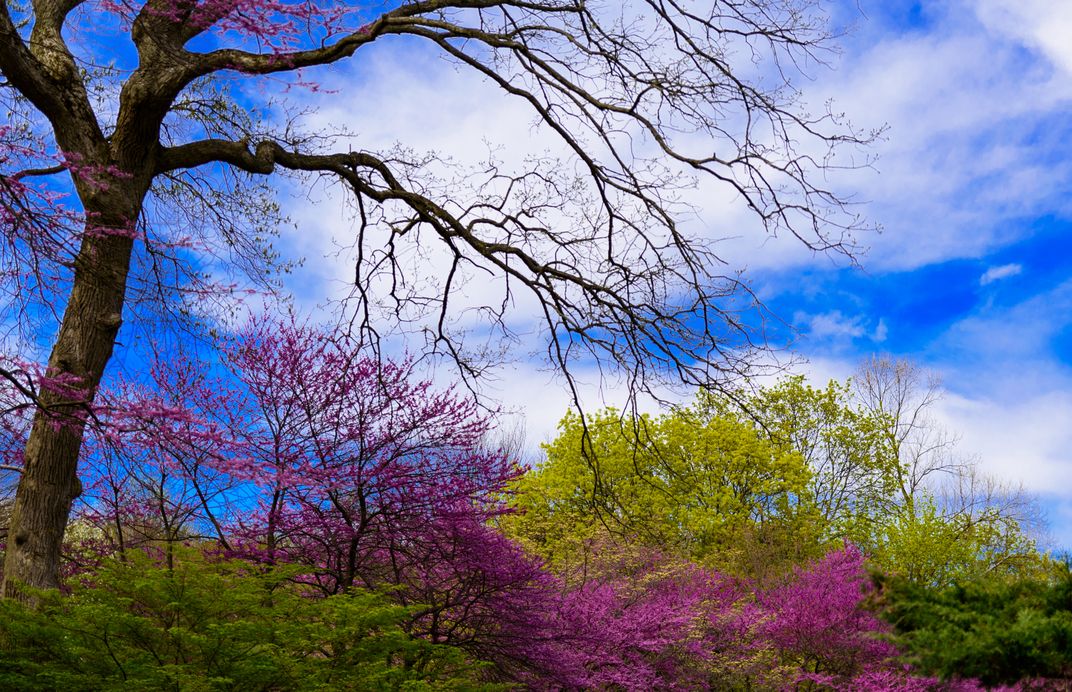 Beautiful spring colors | Smithsonian Photo Contest | Smithsonian Magazine