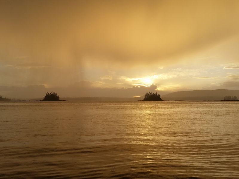 Bathed in Golden Sunset on Clarence Strait, SE Alaska #1 | Smithsonian ...