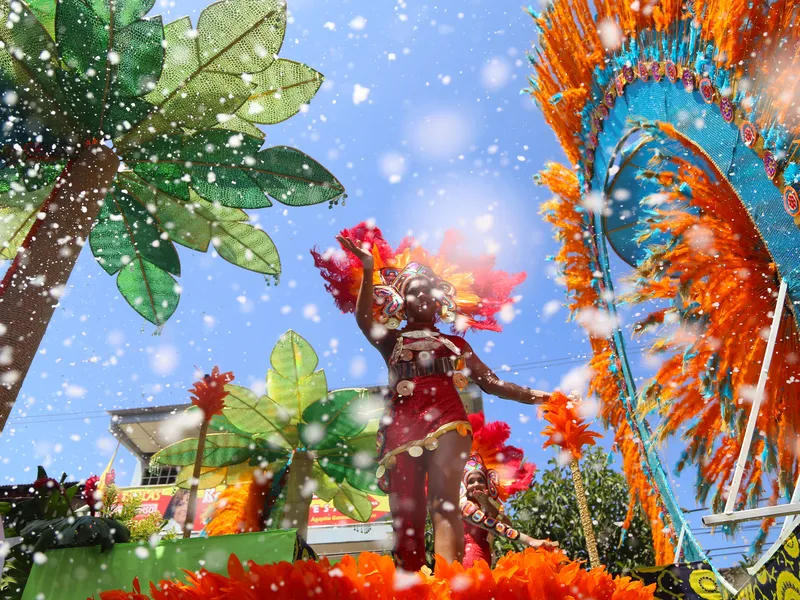 Carnival Queen | Smithsonian Photo Contest | Smithsonian Magazine