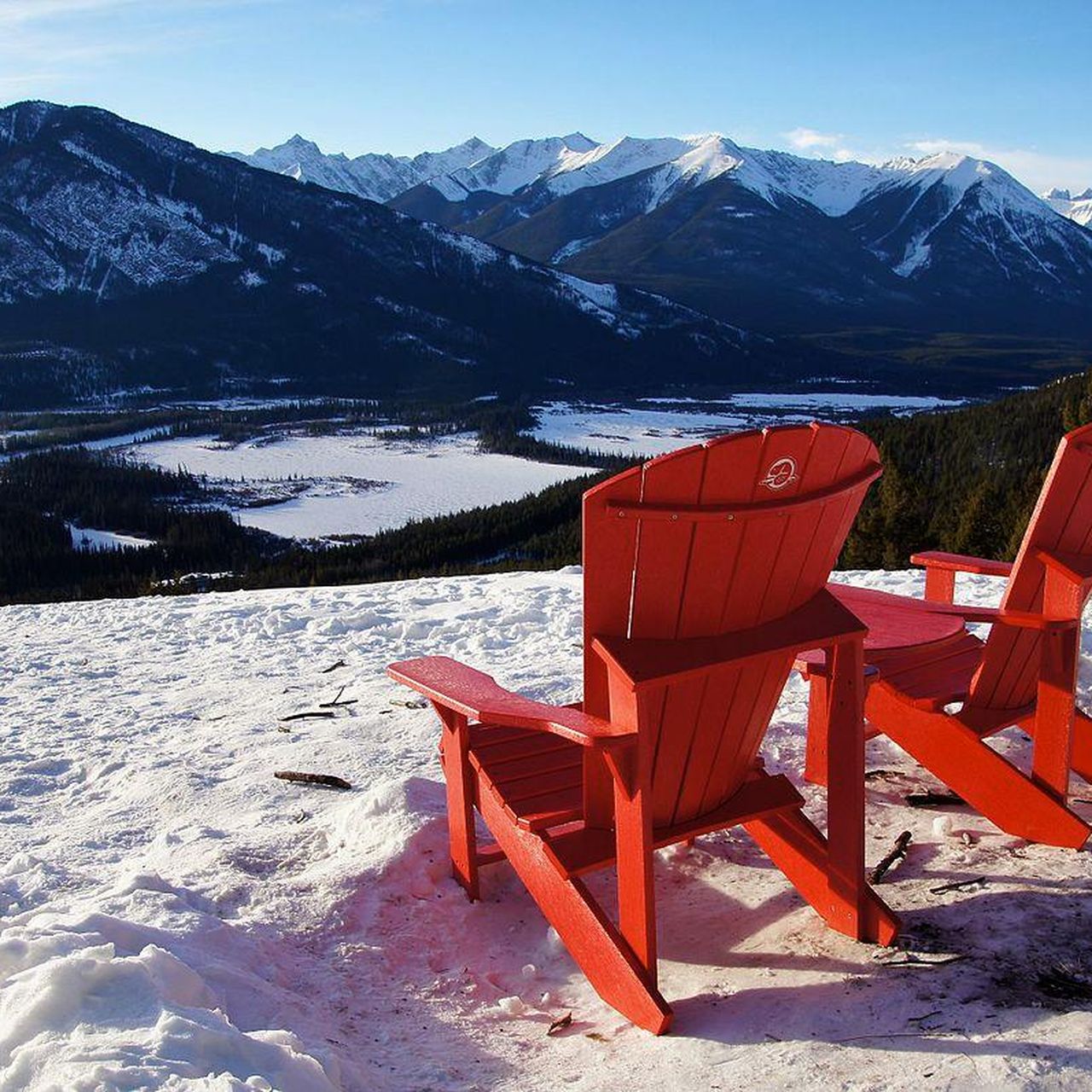 Adirondack Chair Labels Adirondack Lounge Chair – Design Within