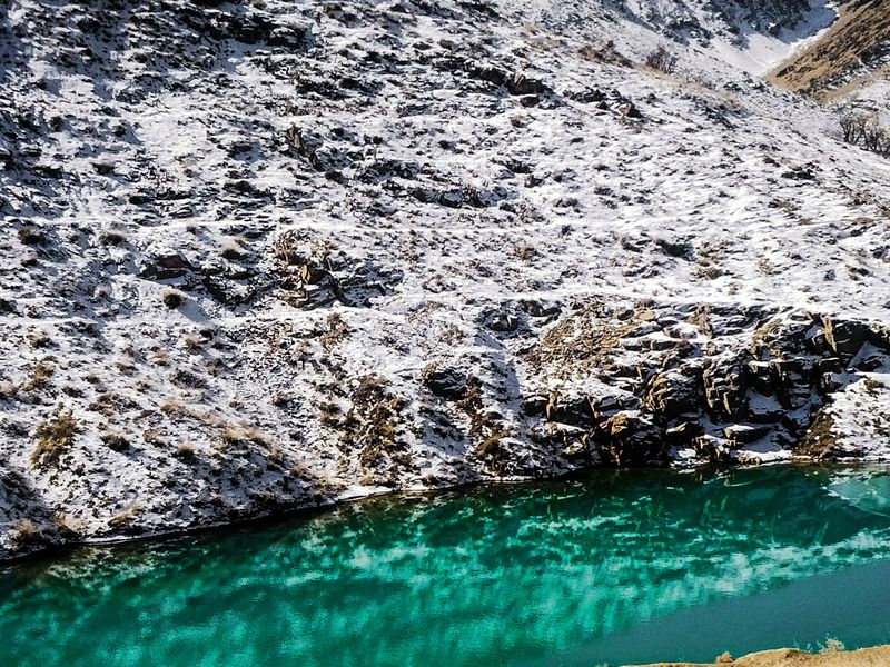 Contrast in Nature! | Smithsonian Photo Contest | Smithsonian Magazine