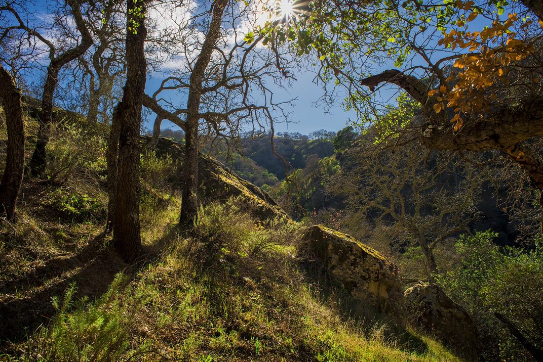 Shell Ridge, Walnut Creek CA | Smithsonian Photo Contest | Smithsonian ...