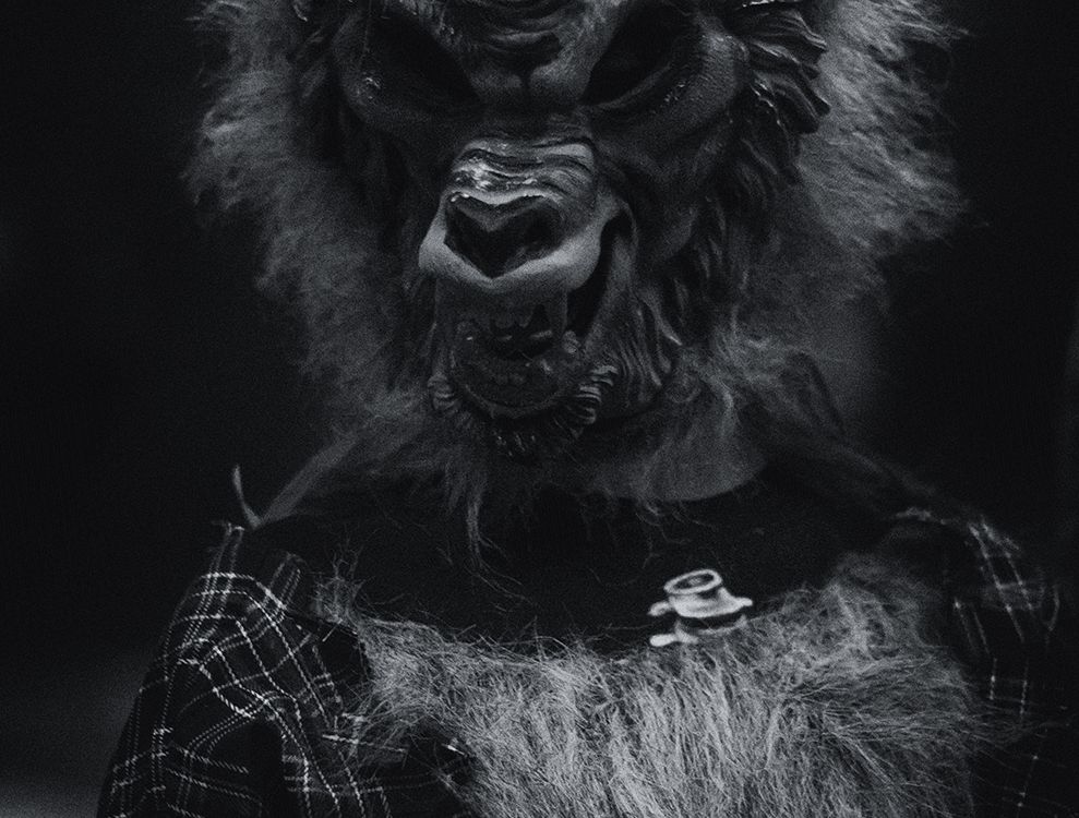 Trick-or-treater dressed as a werewolf for Halloween and ready to ...