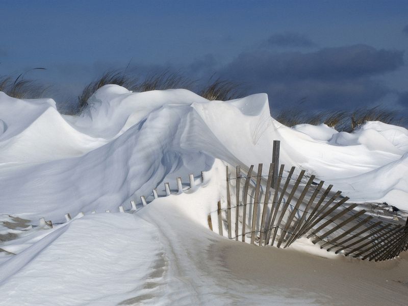 Snowscape During a Blizzard | Smithsonian Photo Contest | Smithsonian ...
