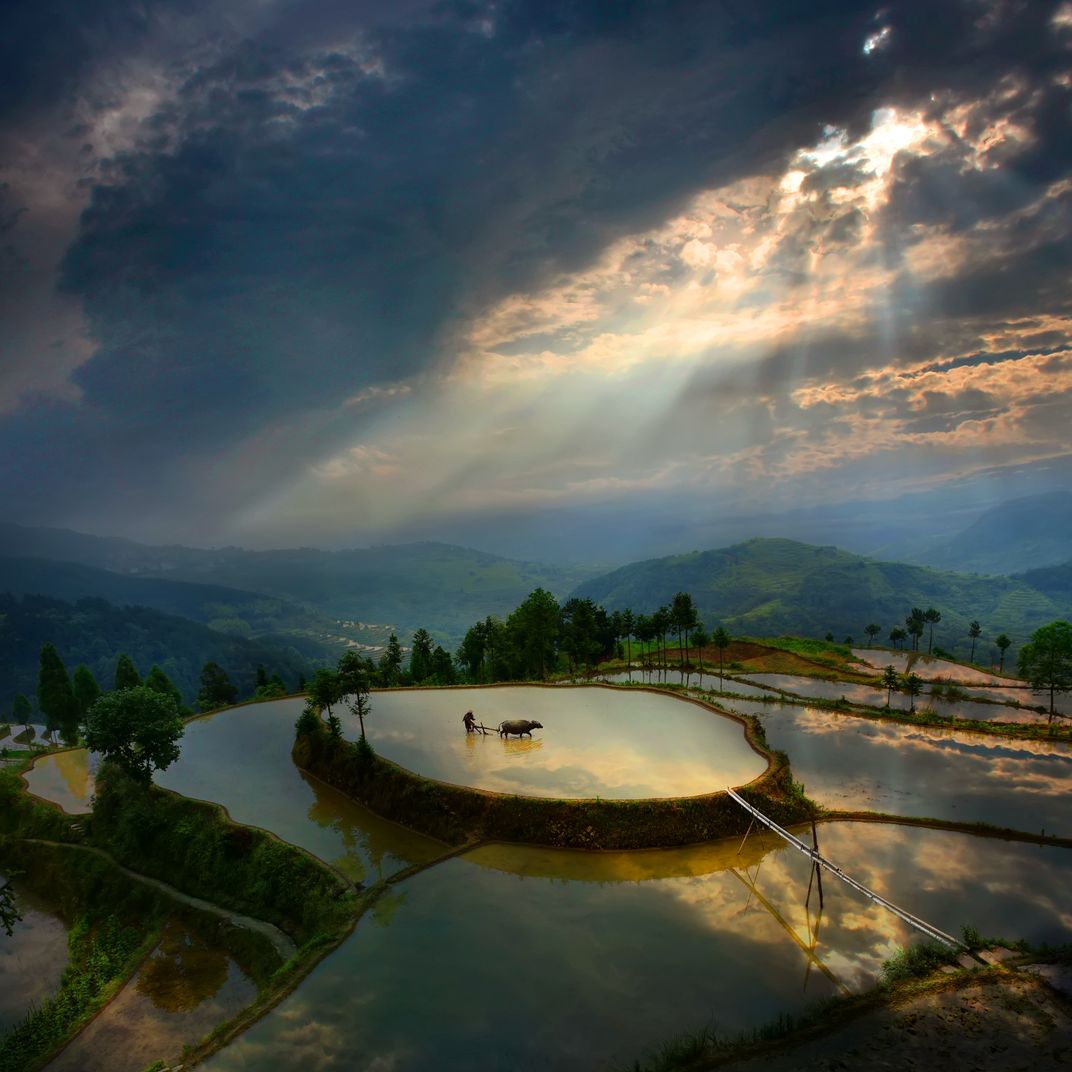 pastoral stage | Smithsonian Photo Contest | Smithsonian Magazine