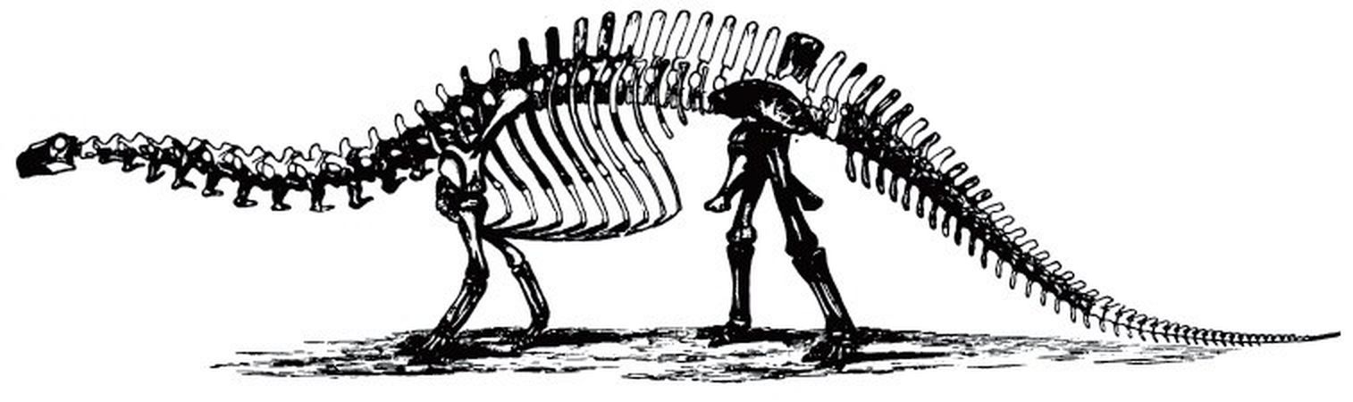 Always Brontosaurus to Me