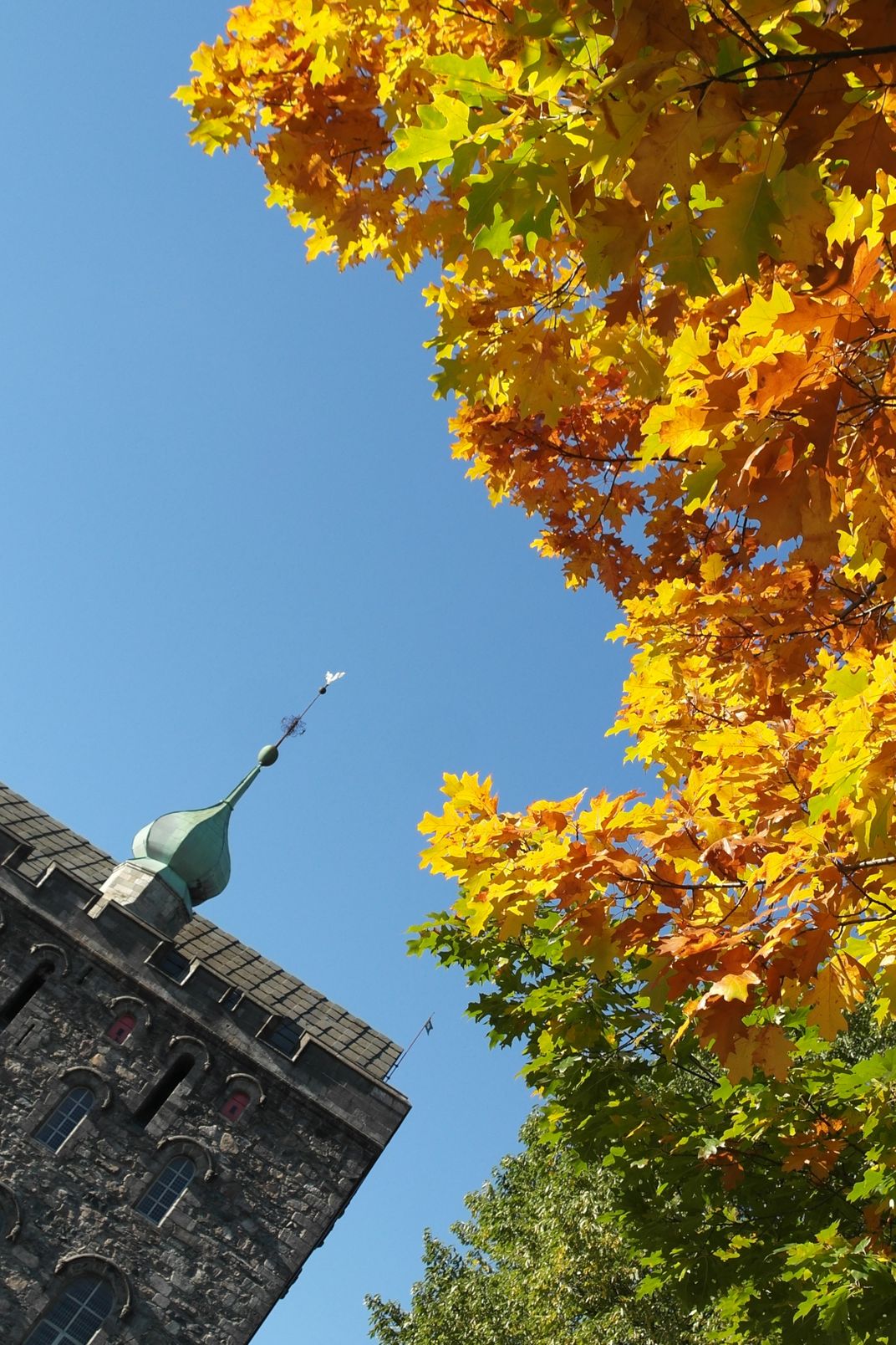Beautiful autumn in Bergen, Norway. The 13th century (1270AD) fortress ...