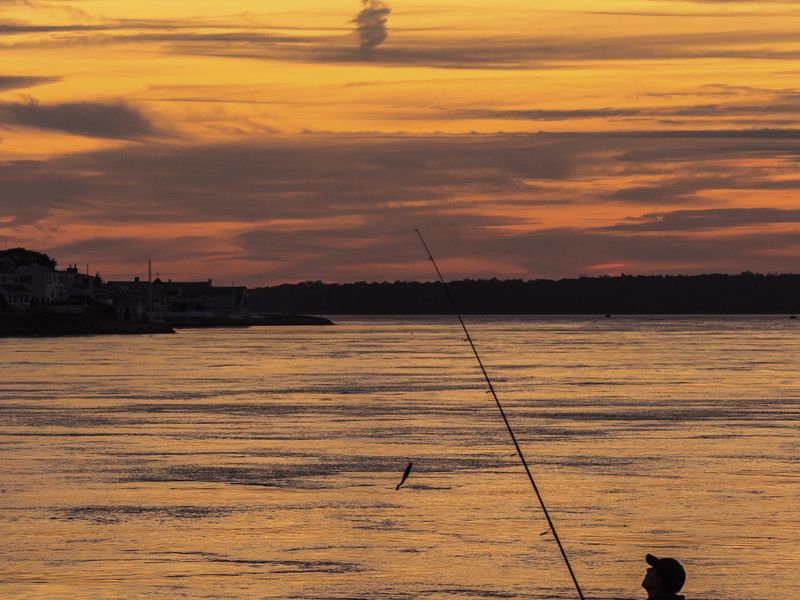 Fisherman at Sunset | Smithsonian Photo Contest | Smithsonian Magazine